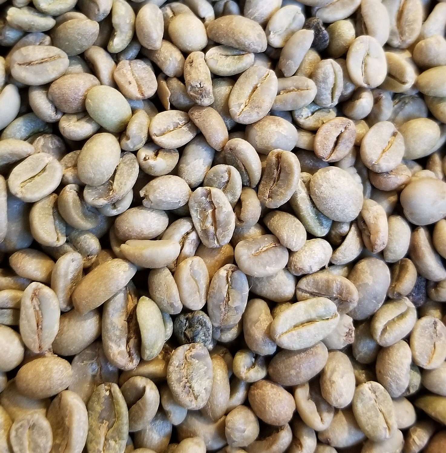 Ethiopia Natural Sidamo - Perry St. Roasters Coffee